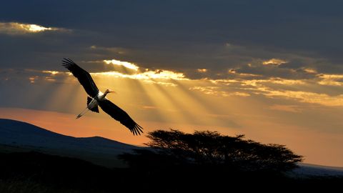 Bhindawas Bird Sanctuary: A Perfect Weekend Getaway In Haryana 2024