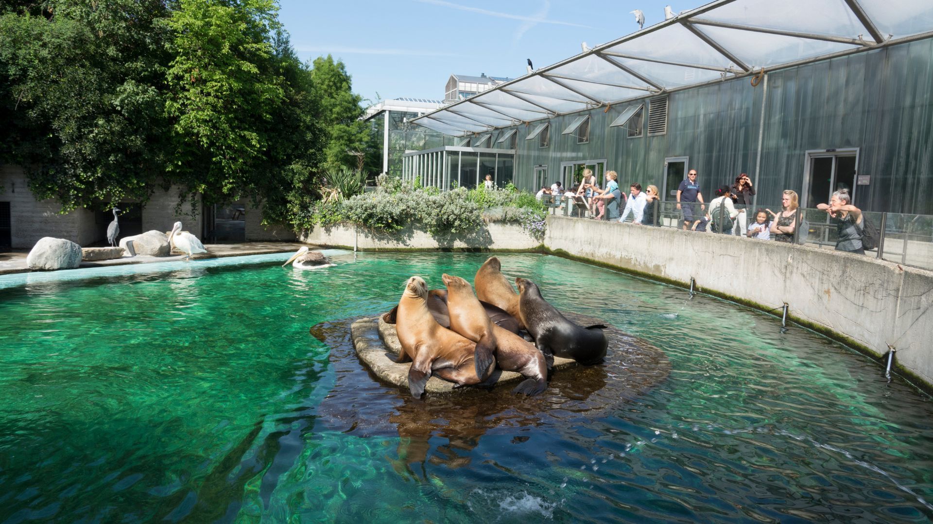 Windmills To Waterways: Best Things To Do In The Netherlands