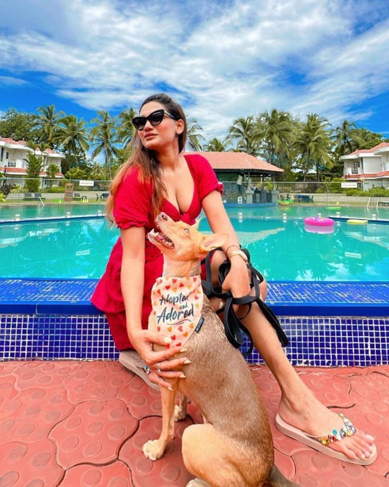The Ultimate Guide To Pet-Friendly Places In Goa