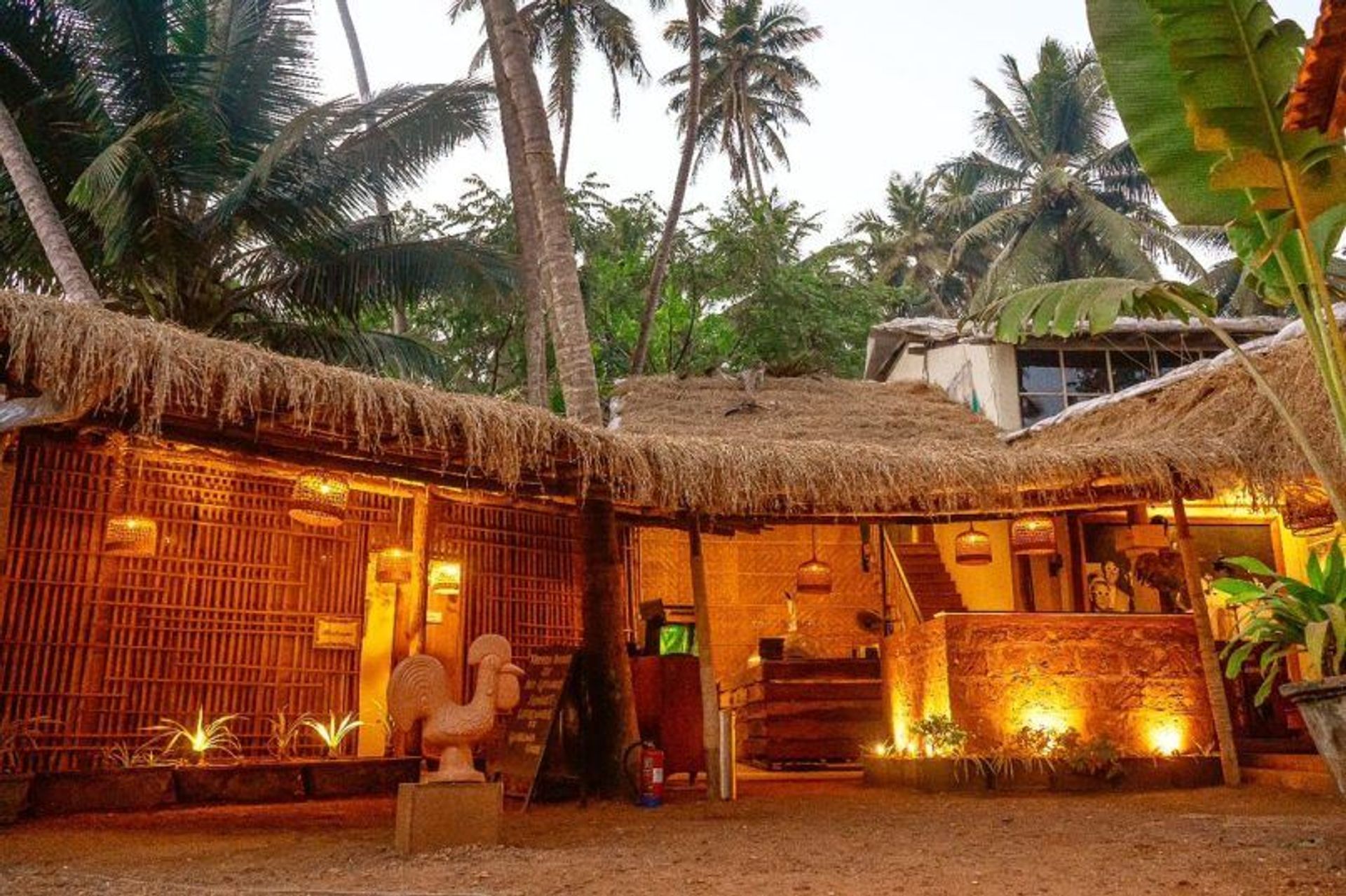 The Ultimate Guide To Pet-Friendly Places In Goa