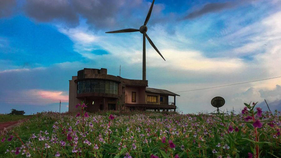 Kaas Plateau: Perfect Romantic Getaway At Maharashtra's Valley Of ...