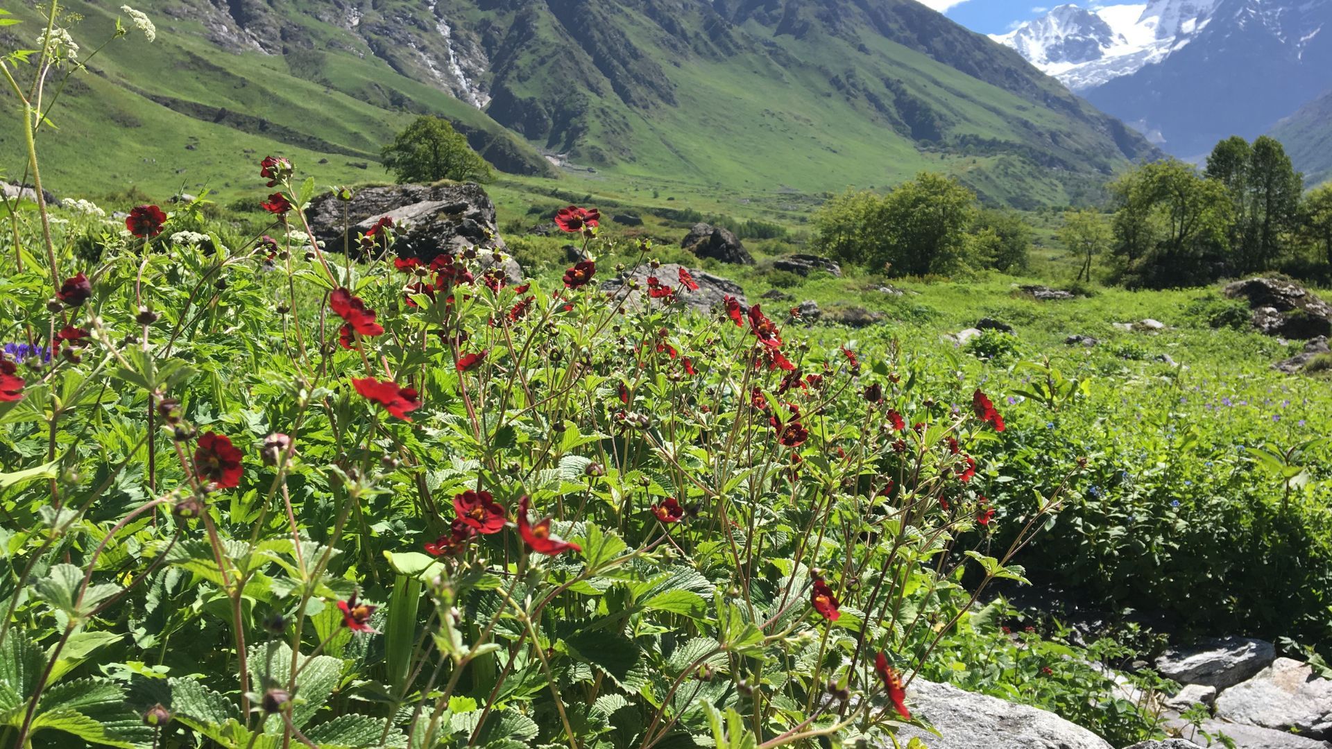 Tourist Places In Uttarakhand To Rejuvenate Your Mind, Soul and Body