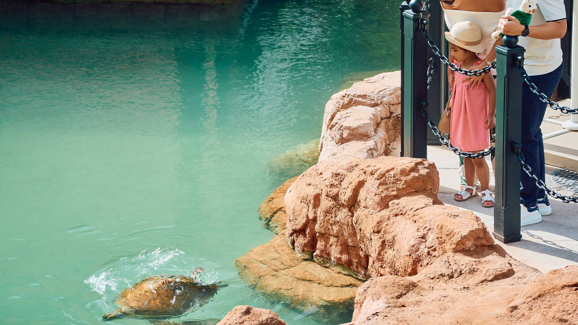 A Turtle's Tale: Jumeirah's Commitment To Conservation