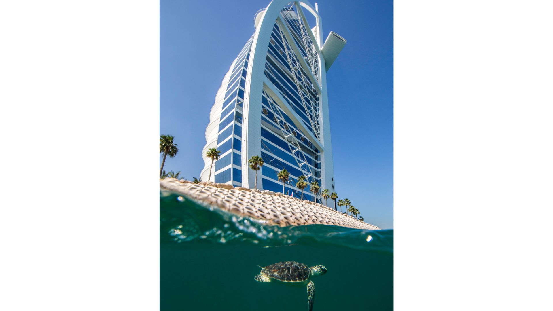 A Turtle's Tale: Jumeirah's Commitment To Conservation