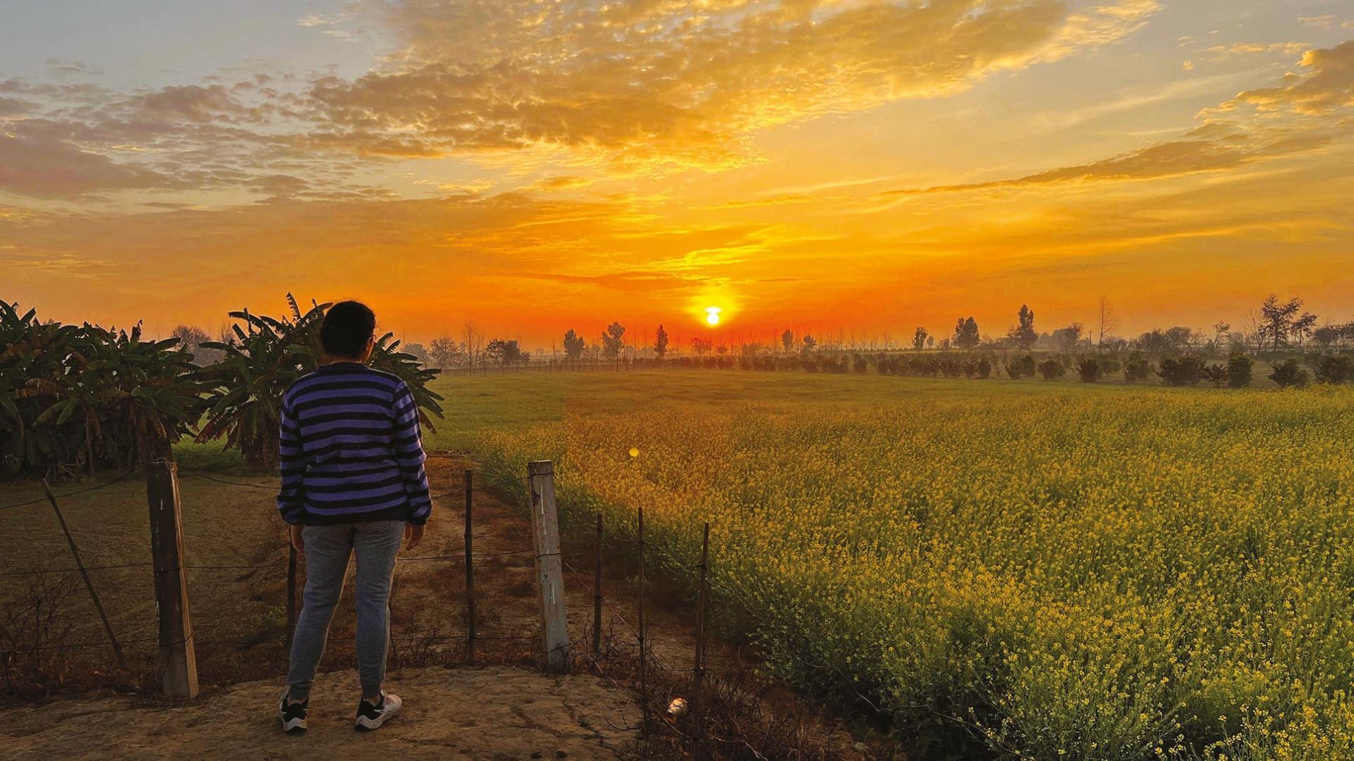 A Wistful Culinary Journey Tracing The History Of Tosha