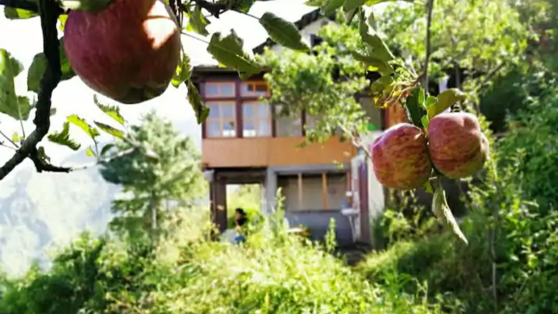 Beautiful Properties Around Apple Orchards: Top Nature Stays In India