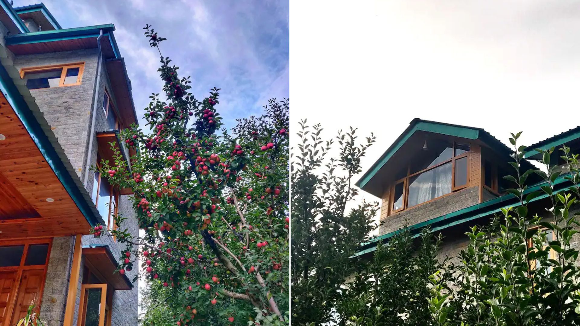 Beautiful Properties Around Apple Orchards: Top Nature Stays In India