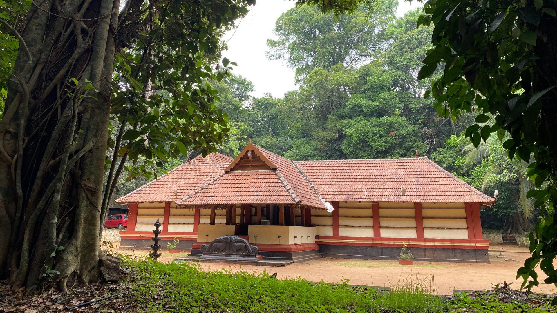 Places To Visit Near Kochi: Weekend Getaways From The 'Queen of the Arabian Sea'