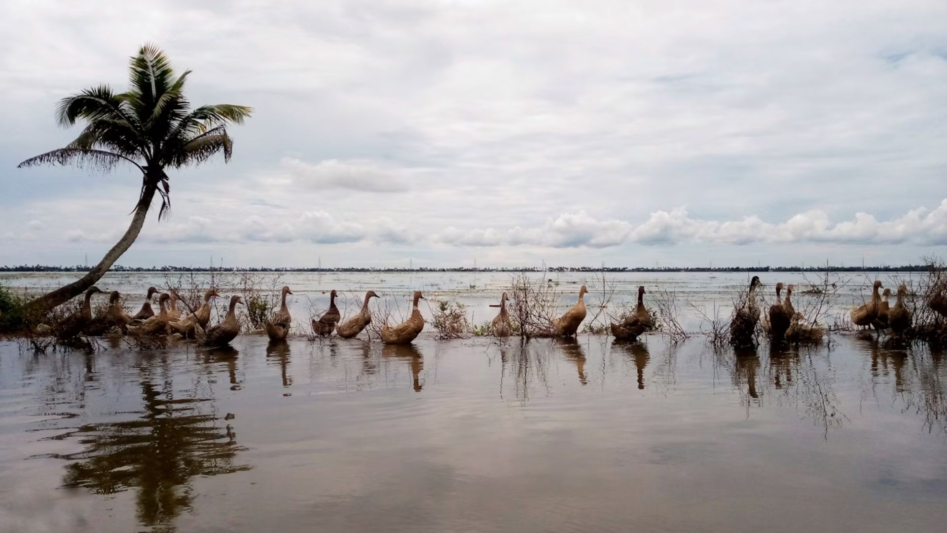 Places To Visit Near Kochi: Weekend Getaways From The 'Queen of the ...