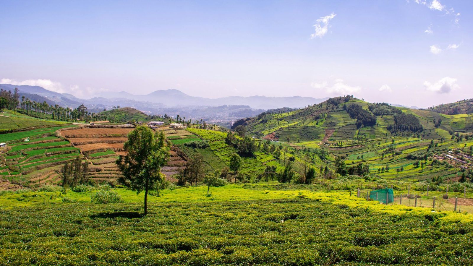 Places To Visit In Coonoor: An Essential Guide To The 'Jewel of the ...