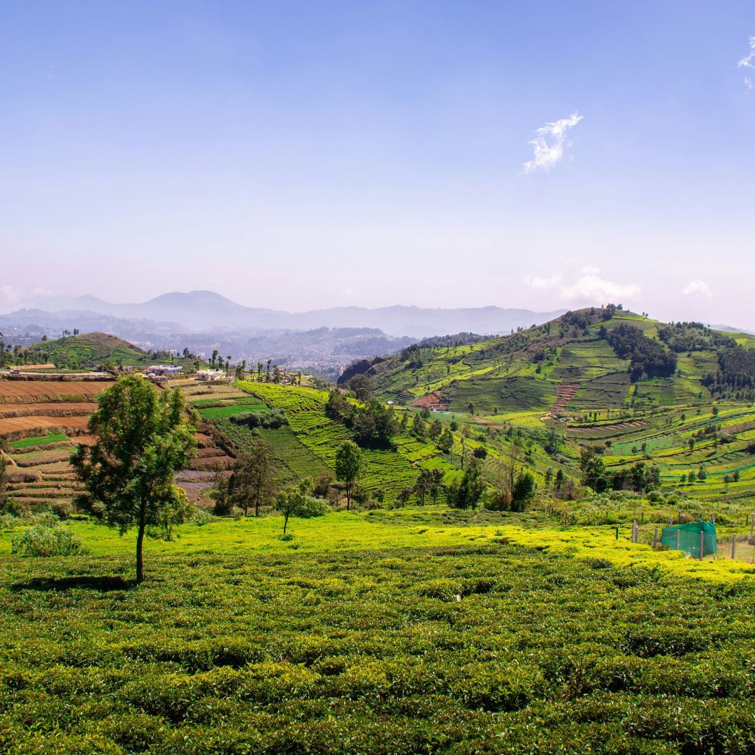 Best Destinations, Cities & Travel Destinations In India - Travel ...