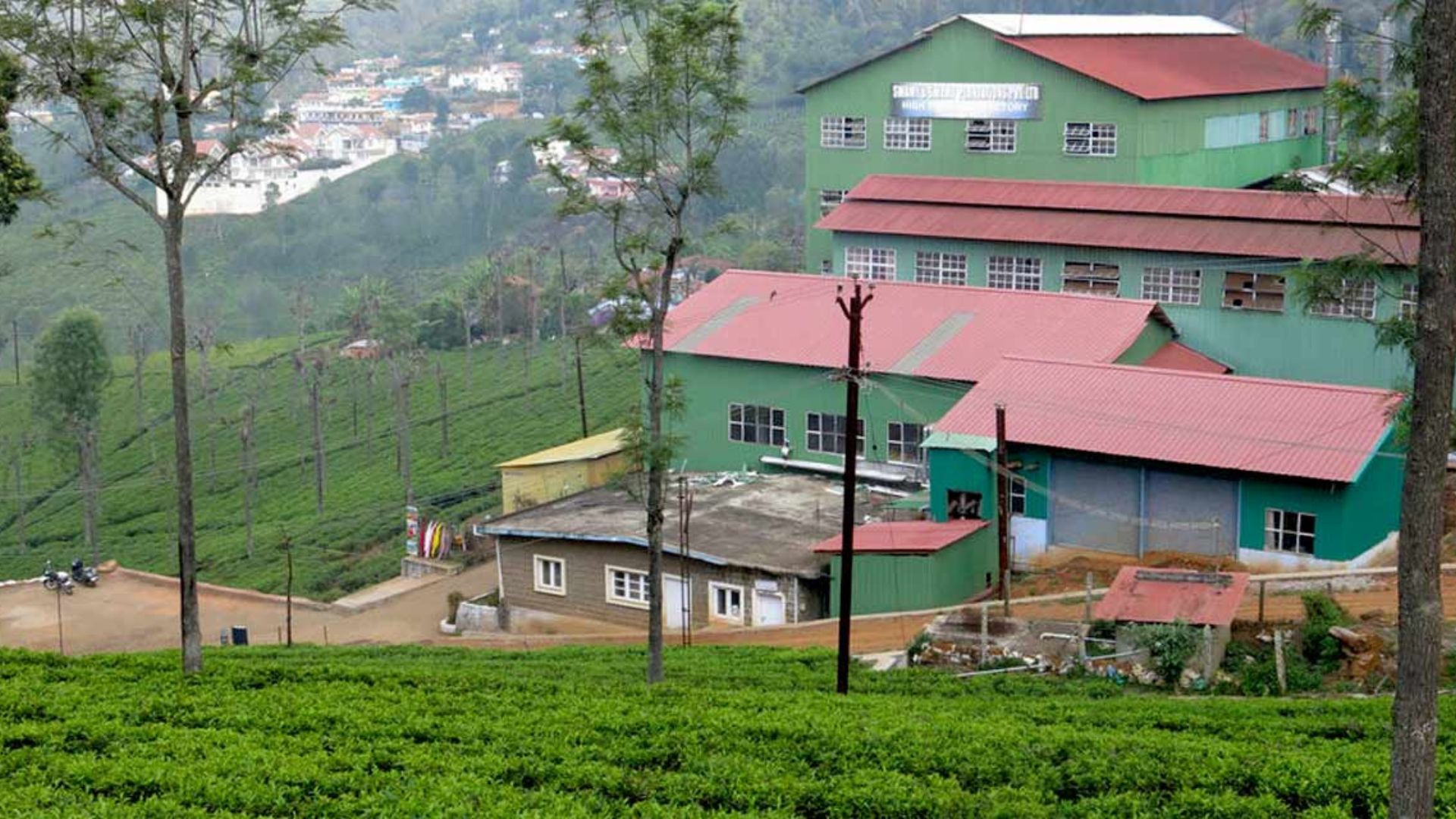 Places To Visit In Coonoor: An Essential Guide To The 'Jewel of the ...