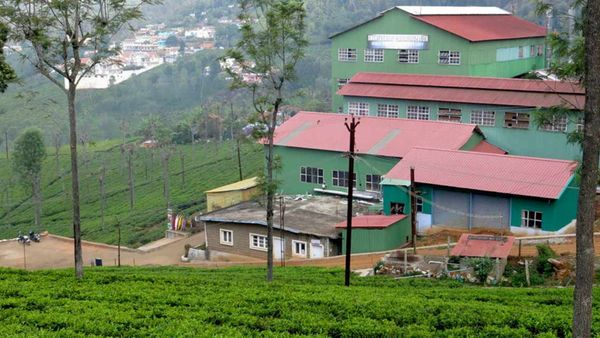 Places To Visit In Coonoor: An Essential Guide To The 'Jewel of the ...