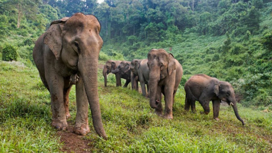 Things To Do In Jaipur: 'The Pink City' Locals Share The Top Offbeat ...