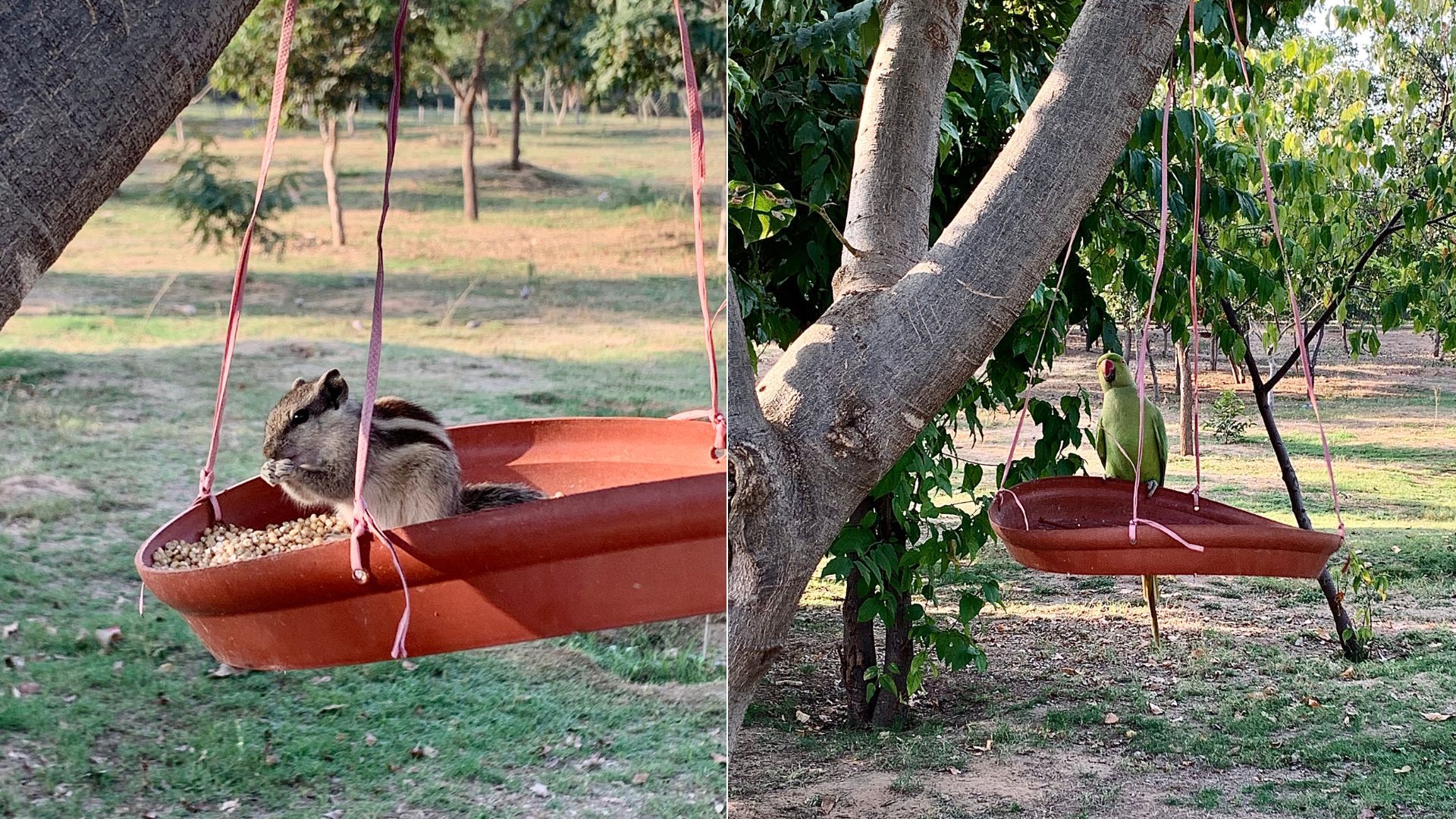 Things To Do In Jaipur: 'The Pink City' Locals Share The Top Offbeat ...