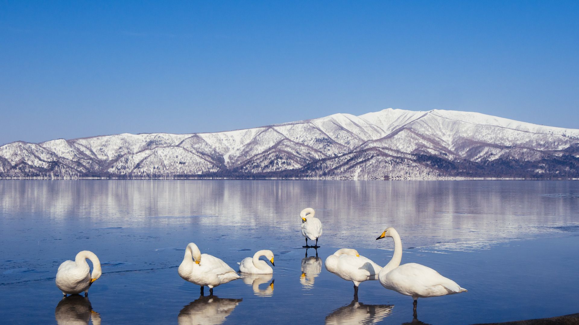 Offbeat Destinations In Japan: Hidden Trails To Savour Authentic Japanese Experiences