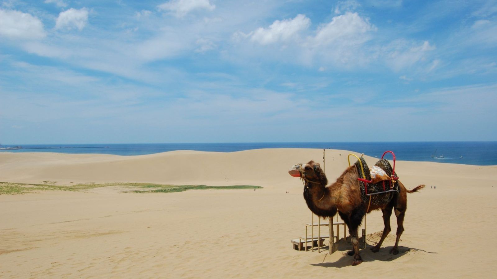 Offbeat Destinations In Japan: Hidden Trails To Savour Authentic Japanese Experiences