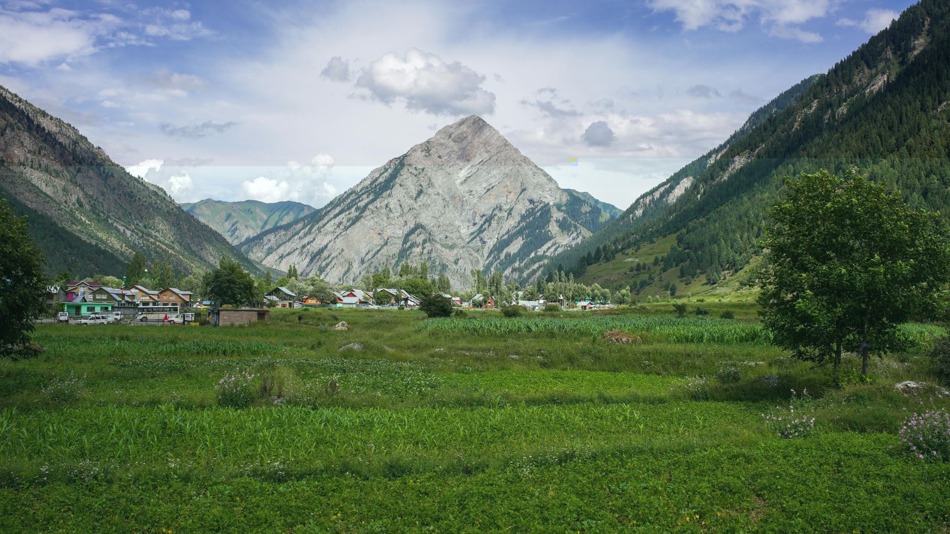 Dawar Village in Gurez Valley: What Makes This Kashmir Village Special?
