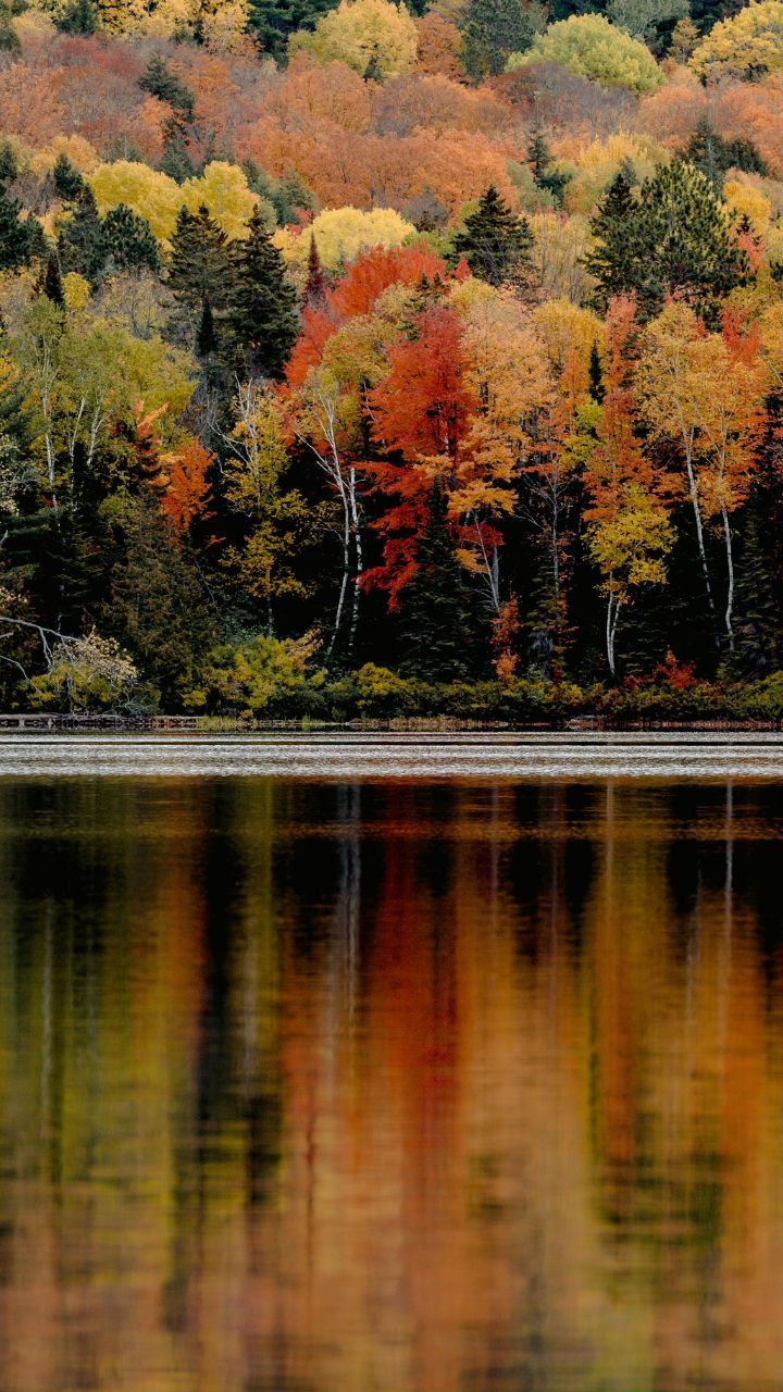 Popular Places To See Fall Foliage Across The Globe