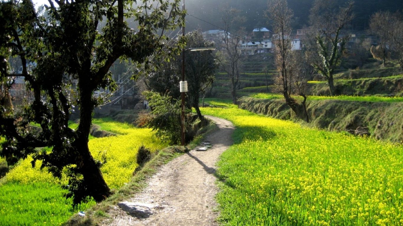 Dharamkot: Quaint Getaway To The Offbeat Hippie Village The Himalayas