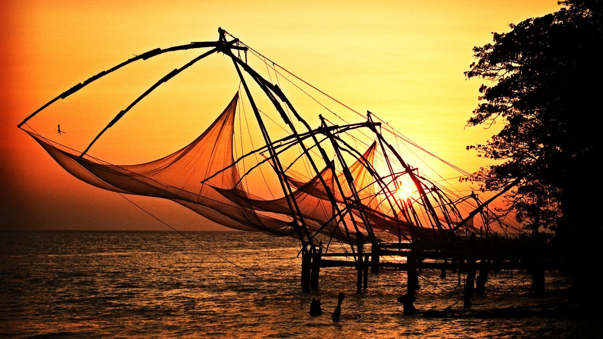 Attending Alan Walker India Tour 2024? Do Not Miss These Attractions In ...