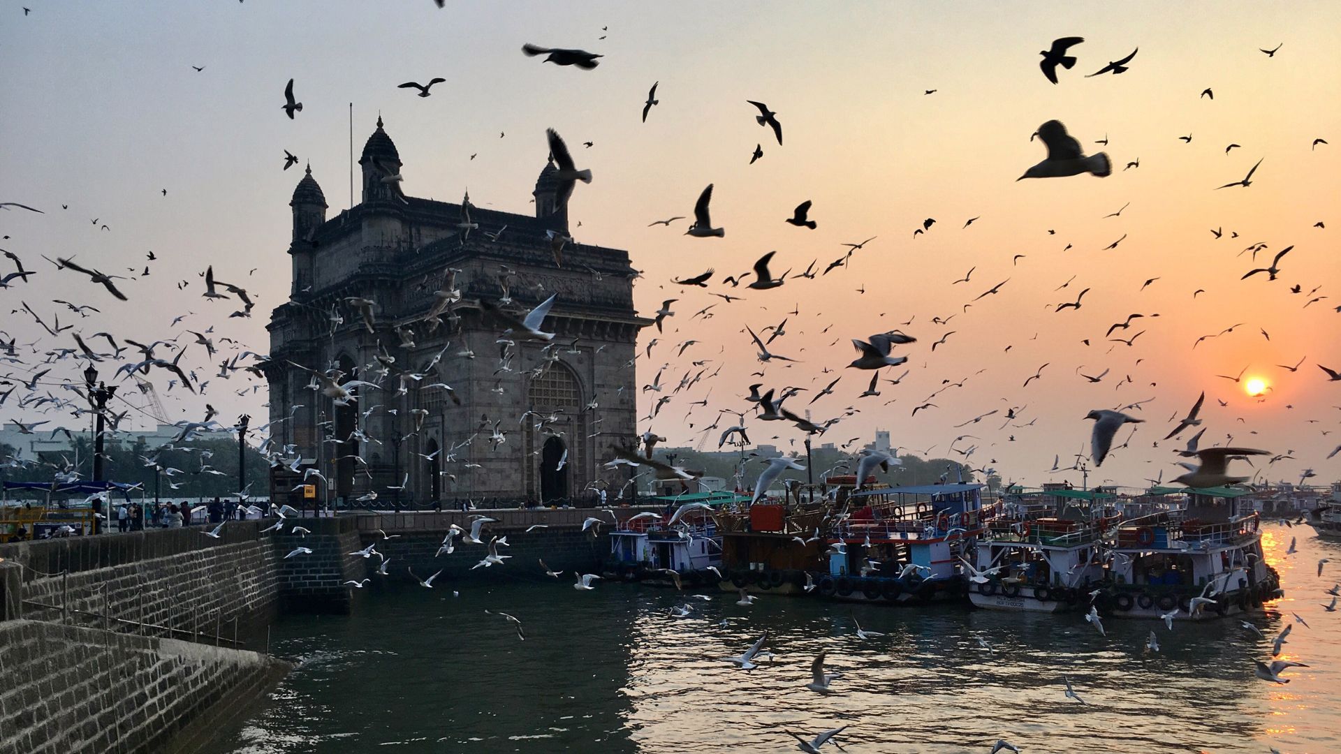 Attending Alan Walker India Tour 2024? Do Not Miss These Attractions In ...