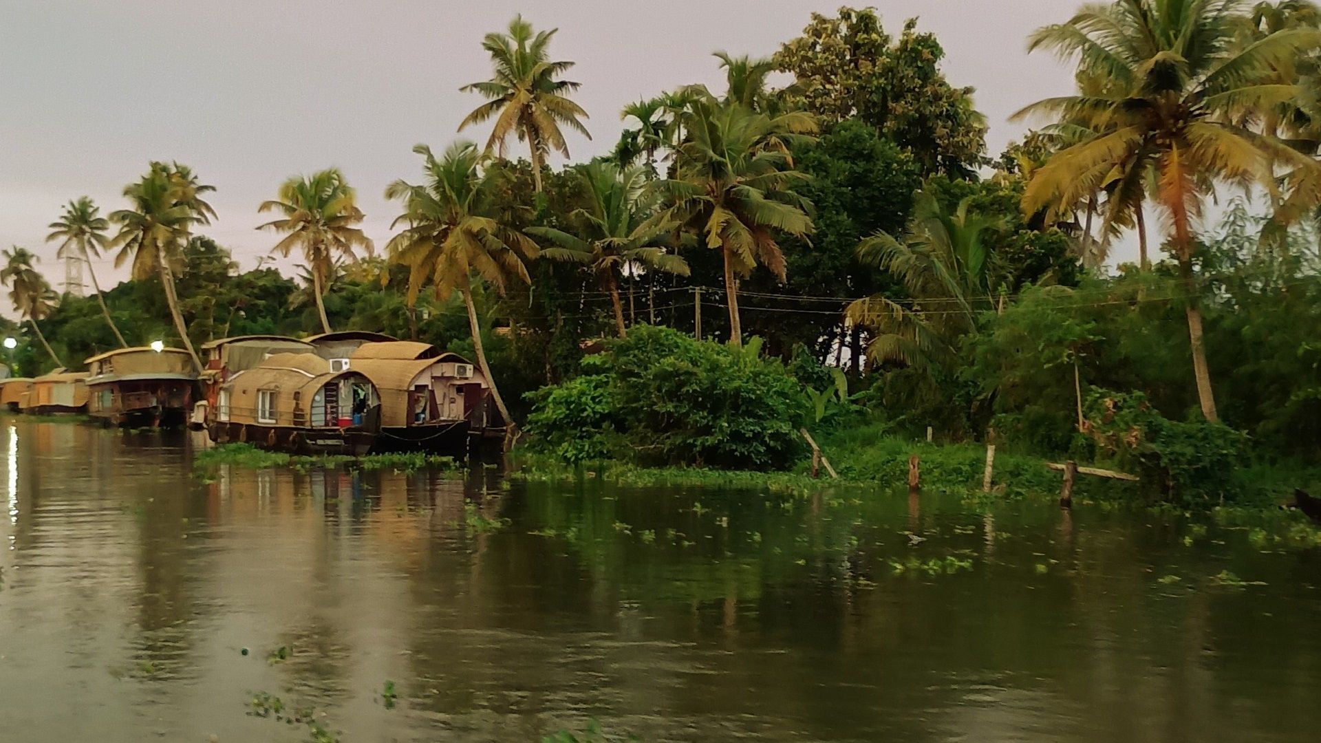 Alleppey Itinerary: Best Places To Visit & Things To Do In Alleppey In ...