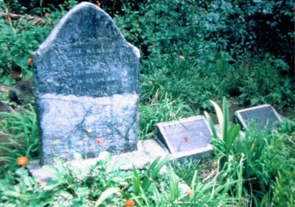 The Pitcairn Islands: Perfect Odyssey Across The World's Most Isolated ...