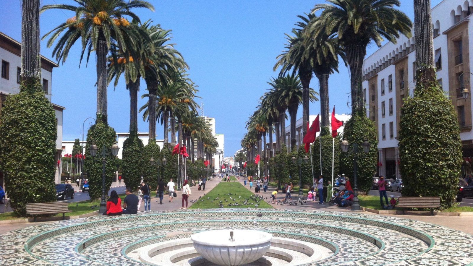 UNESCO World Book Capital 2026: Rabat Wins For Literacy & Literature