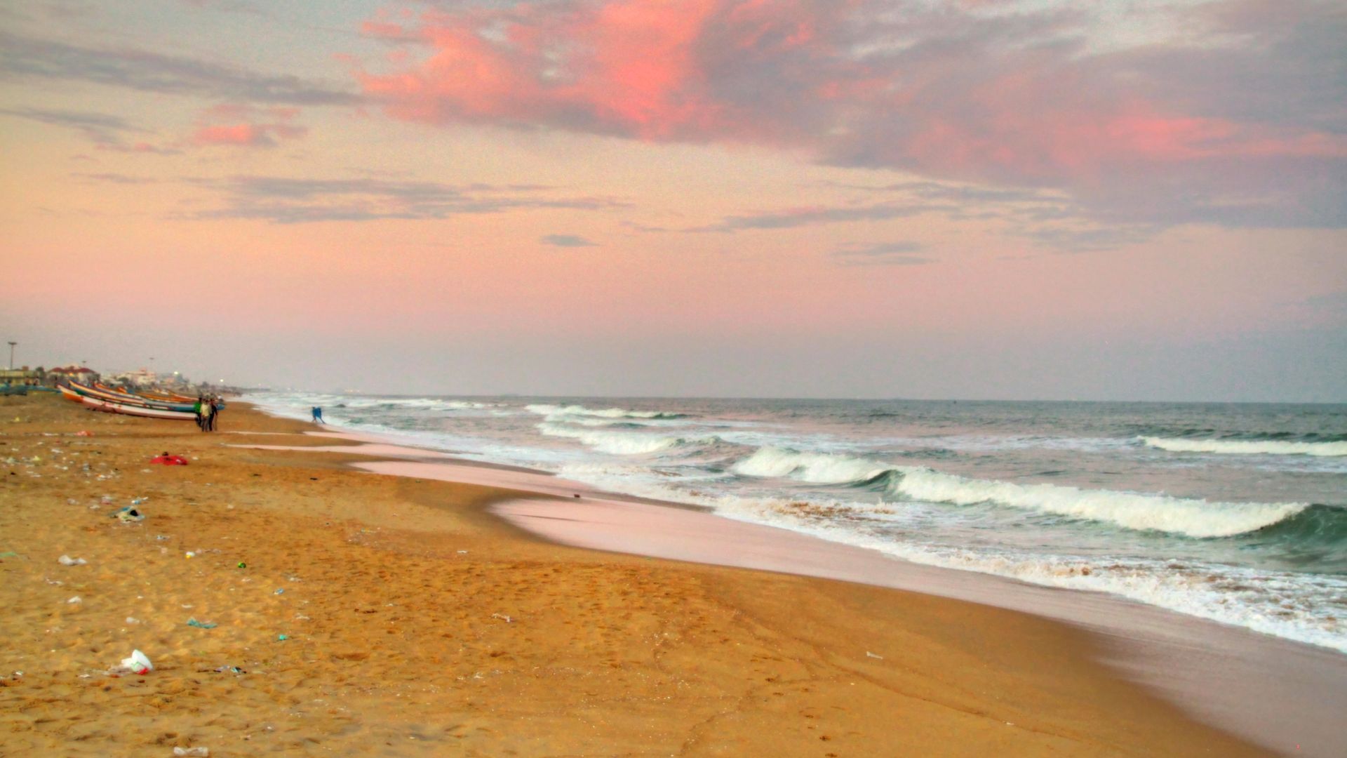 Bioluminescent Waves Light Up Chennai Shores: All You Need To Know