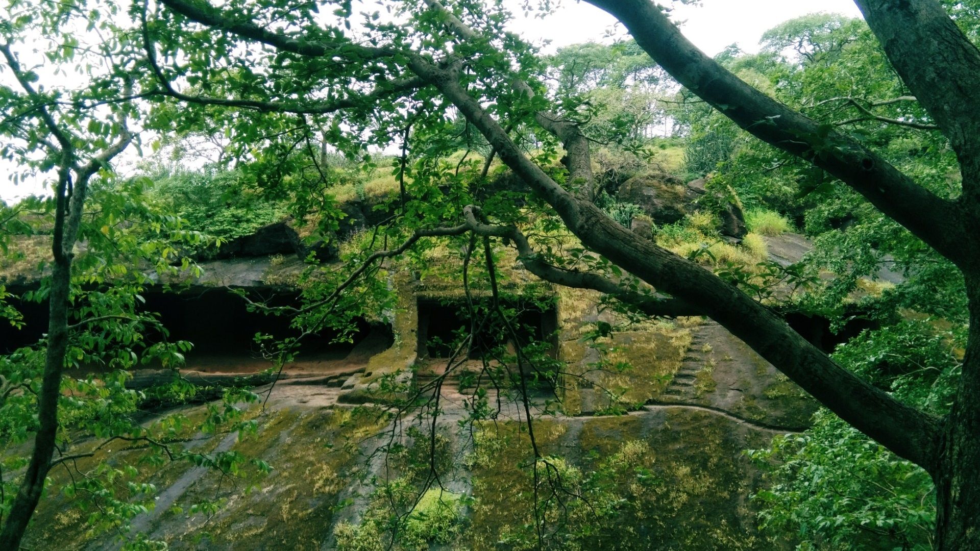 'Do Patti' Shooting Locations: Explore Locales Of This Kriti Sanon-Starrer