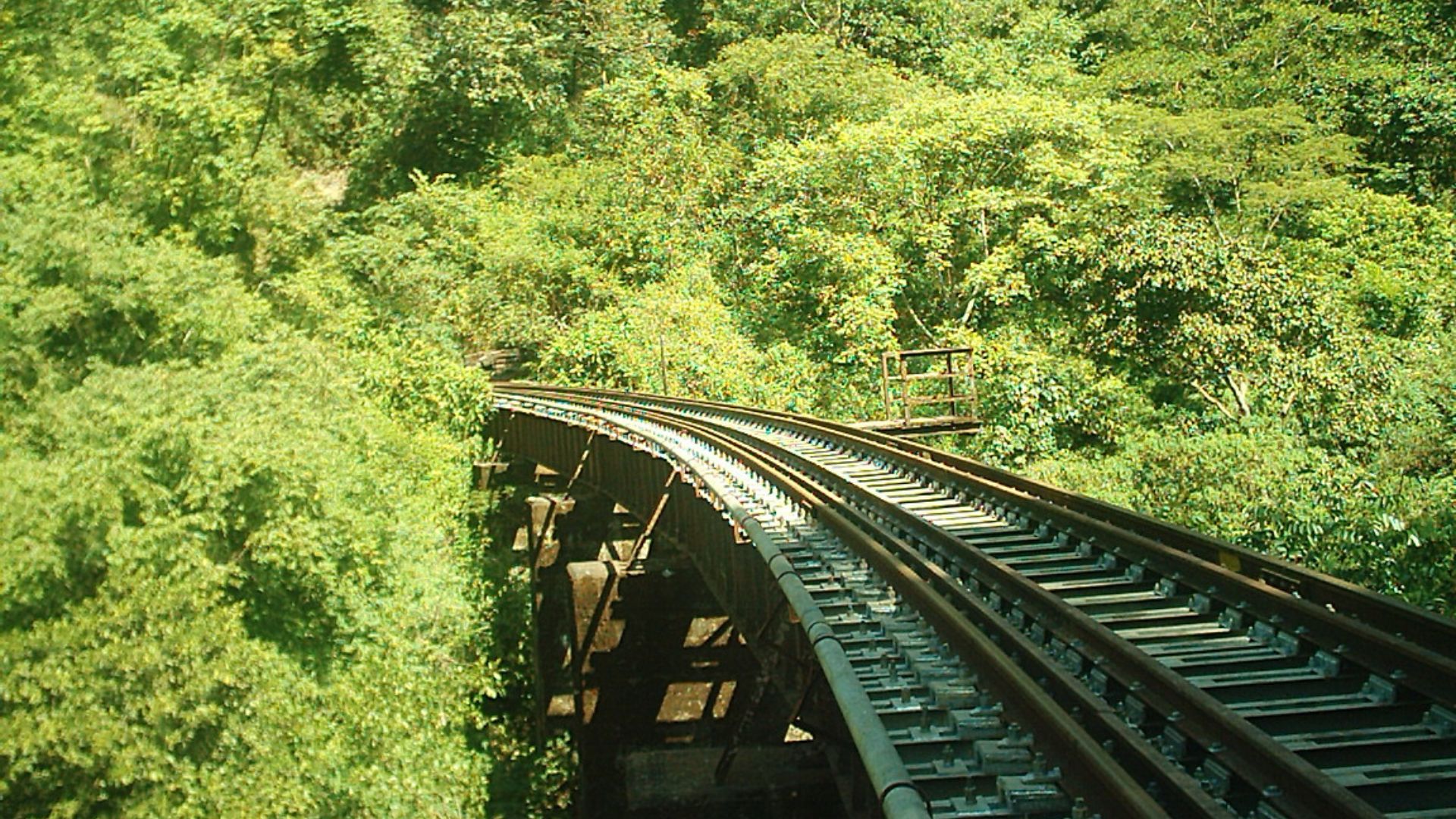 Places To Visit In Chikmagalur: From Misty Mountains To Coffee Estates