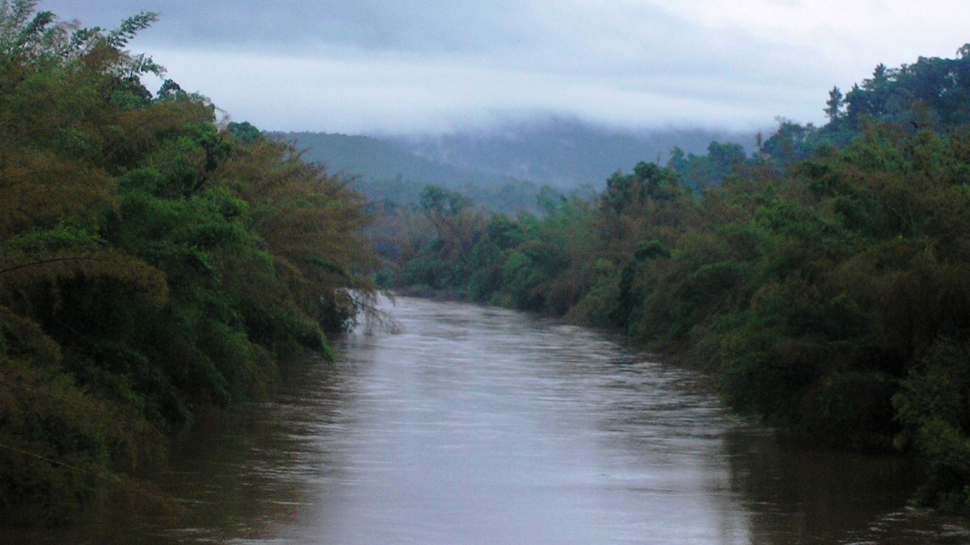 Places To Visit In Chikmagalur: From Misty Mountains To Coffee Estates