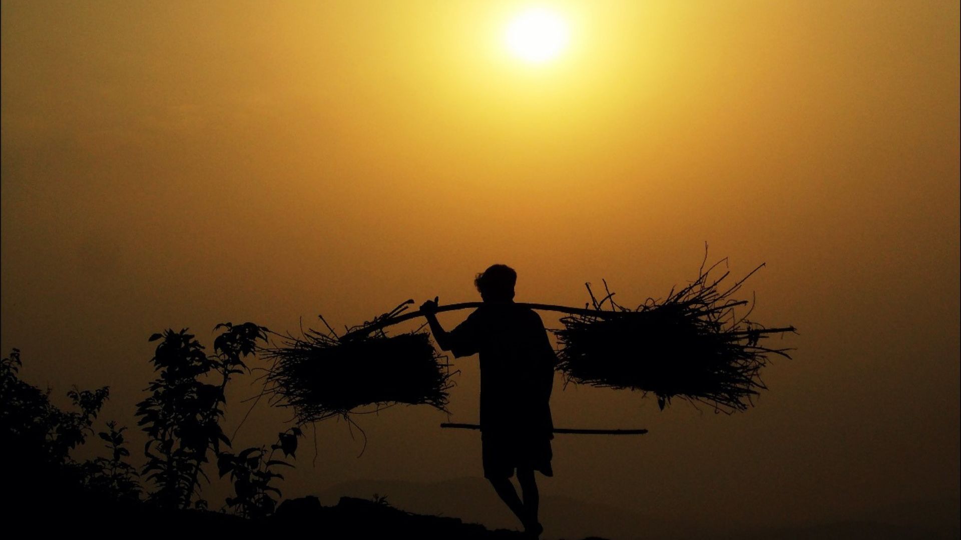 Tourist Places In Guwahati: From Kamakhya Temple To Brahmaputra