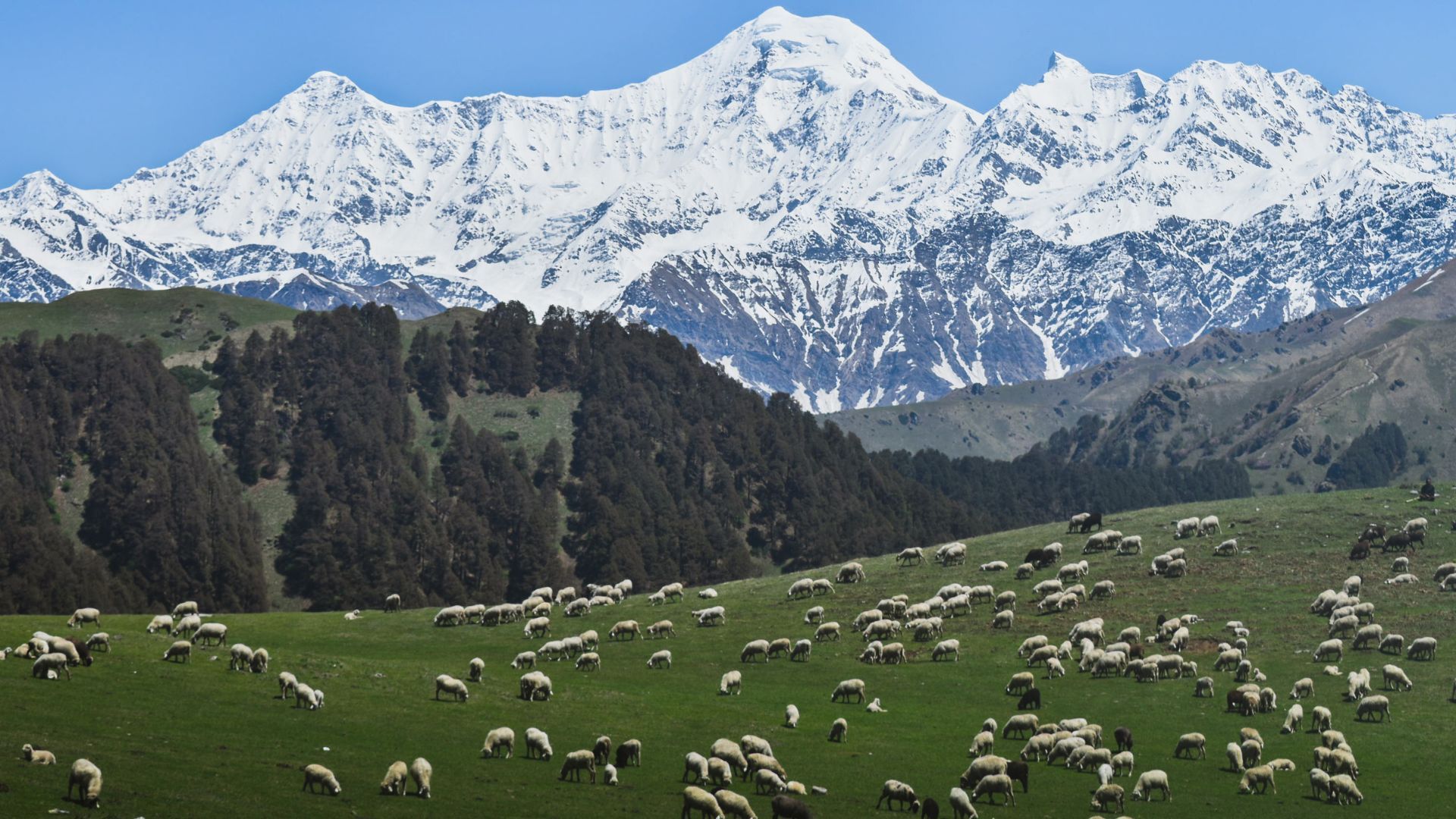 Harsil Valley: A Magical Himalayan Getaway In Uttarakhand