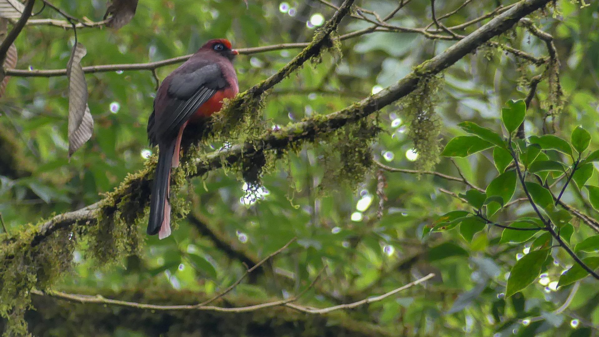 Best Tourist Places To Visit In Arunachal Pradesh: The Land Of Rising Sun