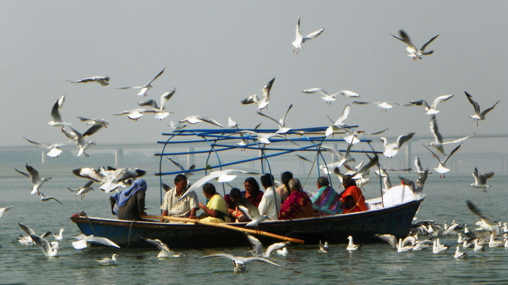 Maha Kumbh 2025 Bird Festival In Prayagraj: All You Need To Know