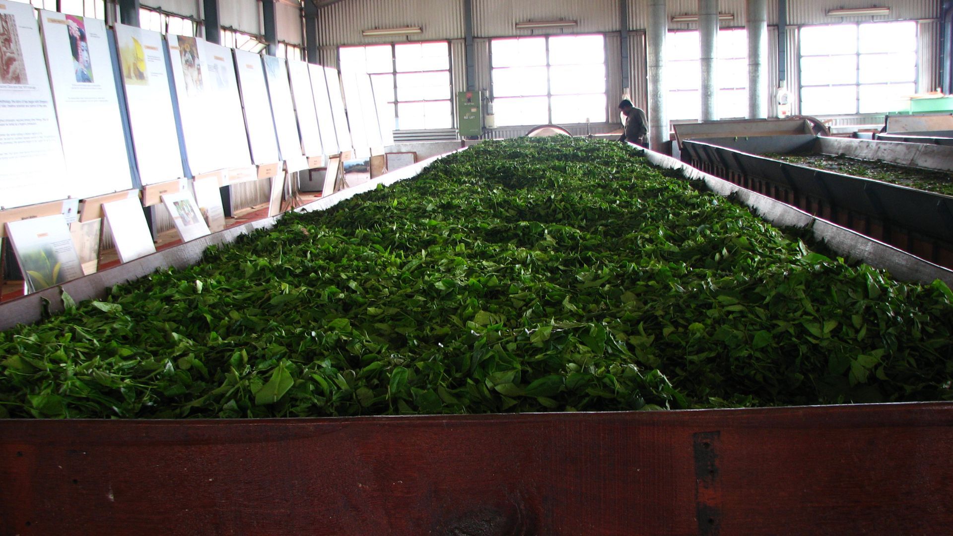 Your Guide To Ooty's Famous Food And Coonoor’s Local Delights