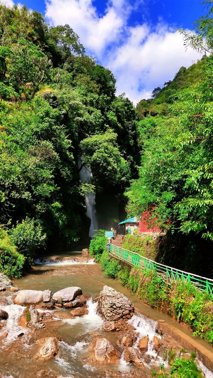 Places To Visit In Chakrata: Uncover The Perfect Spots For A Quiet Holiday