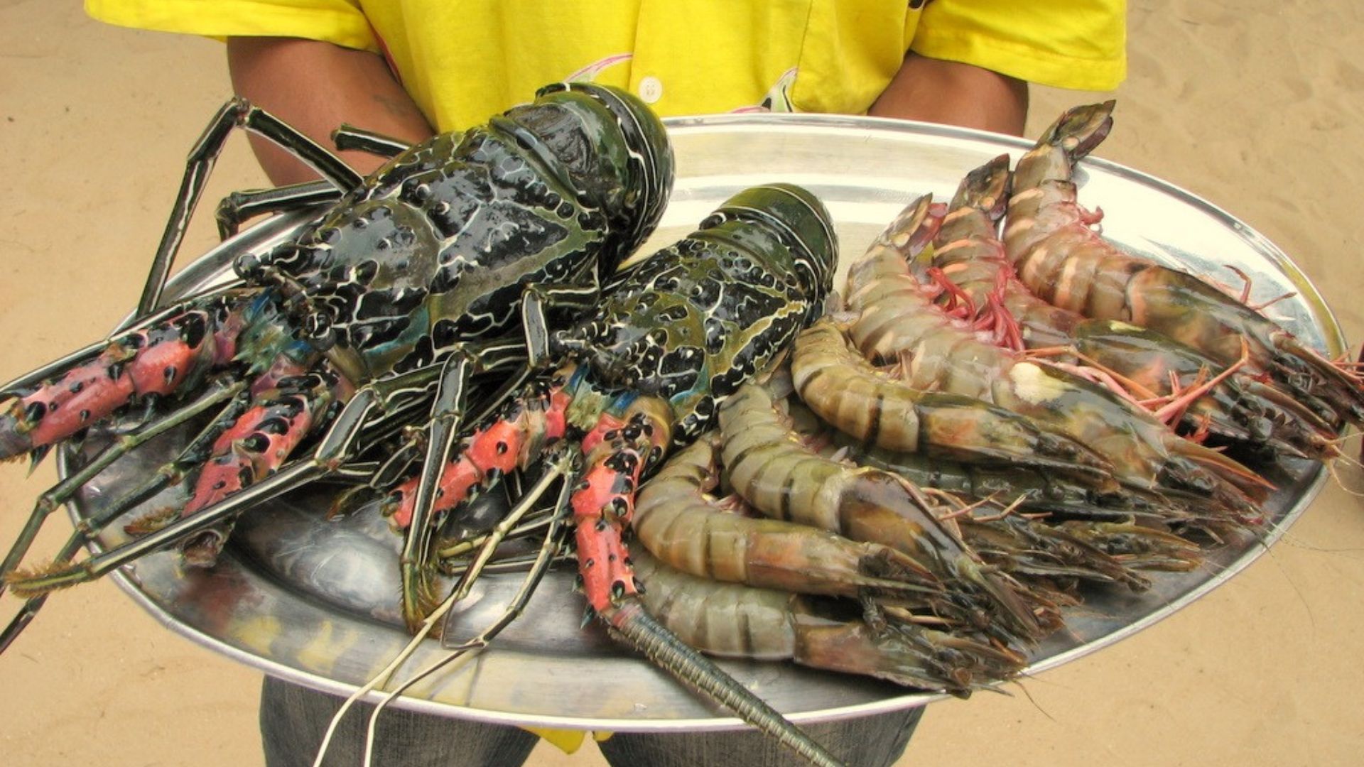 Goa Vs Sri Lanka: Which Coastal Destination Reigns Supreme?