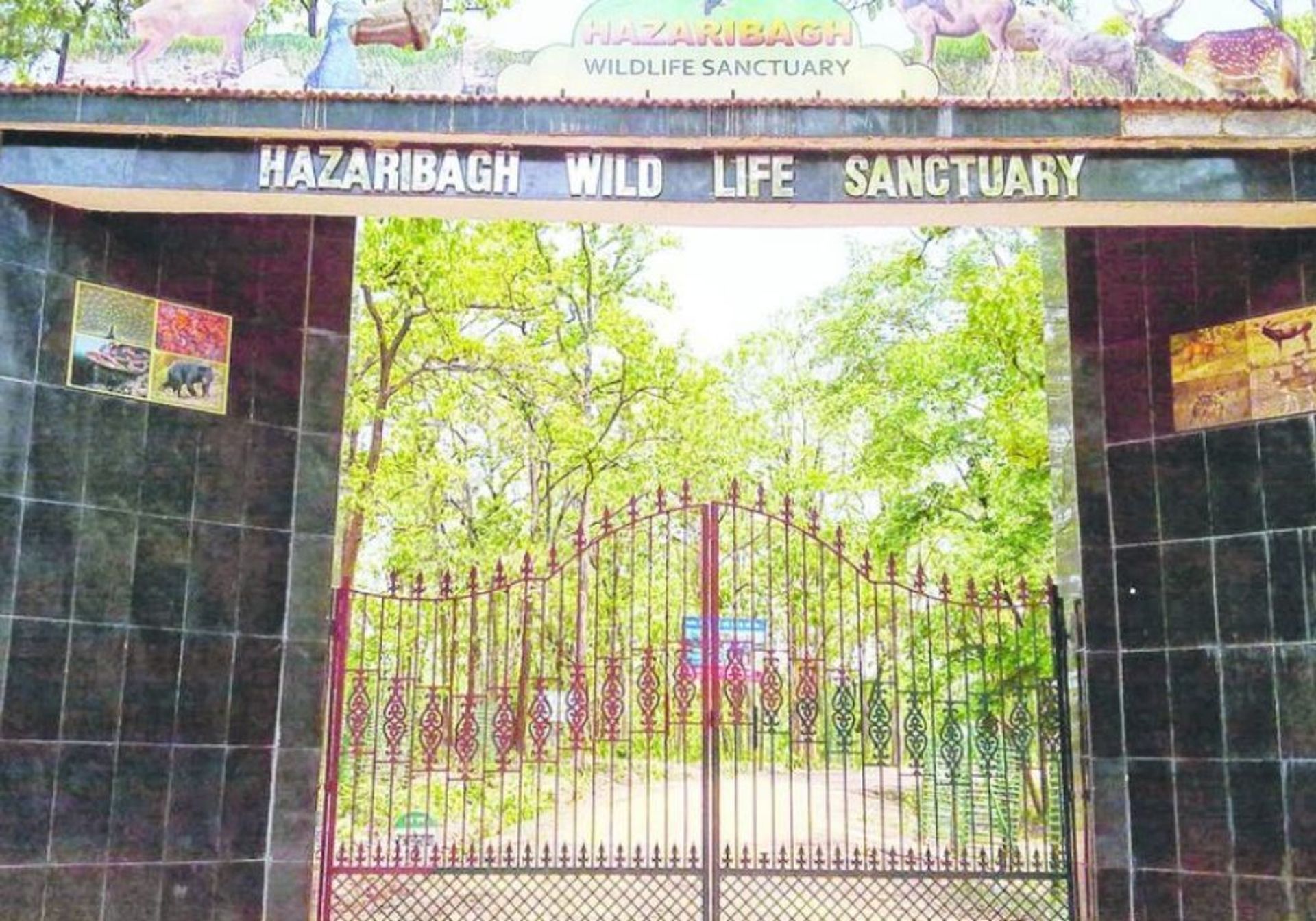 Tourist Places in Ranchi: Explore 'The City Of Waterfalls' With Insider ...