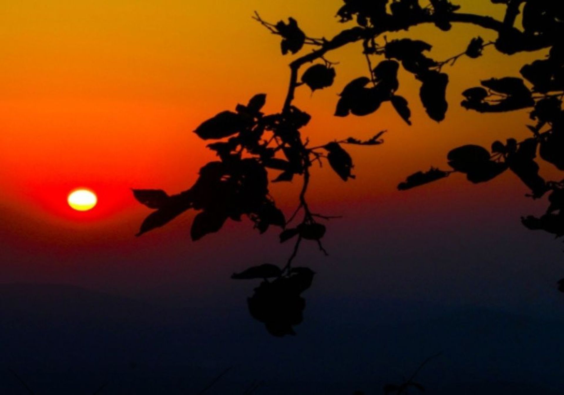 Tourist Places in Ranchi: Explore 'The City Of Waterfalls' With Insider ...