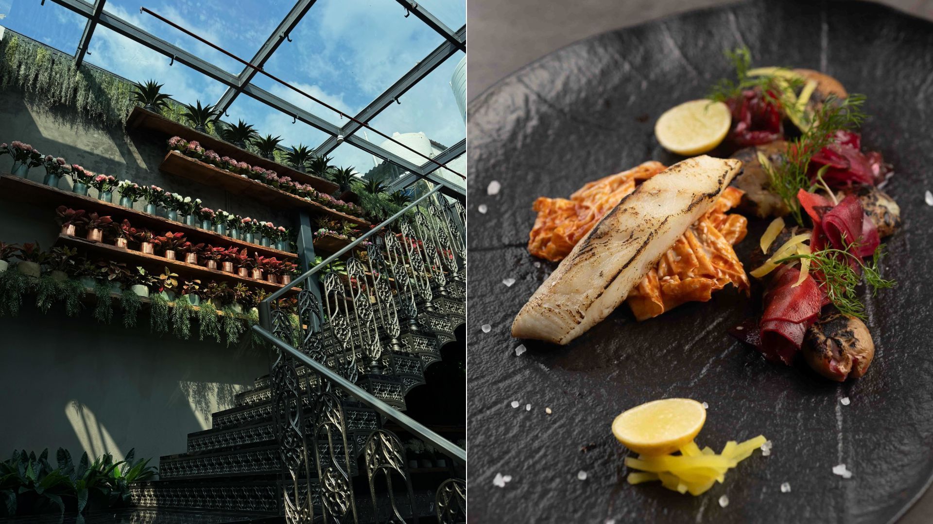 Best New Restaurants In Delhi NCR For A Delicious Bite | December 2024