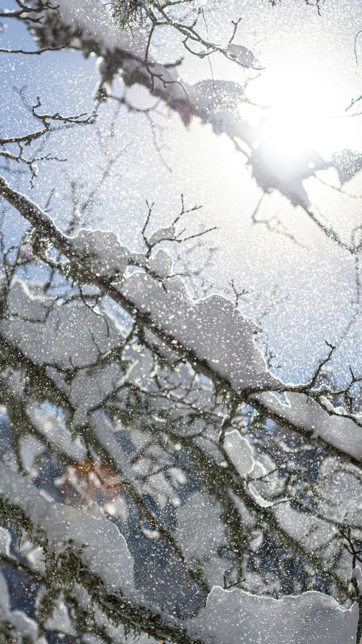 In Pictures: Here's How Beautiful Snow-Covered Mussoorie Looks