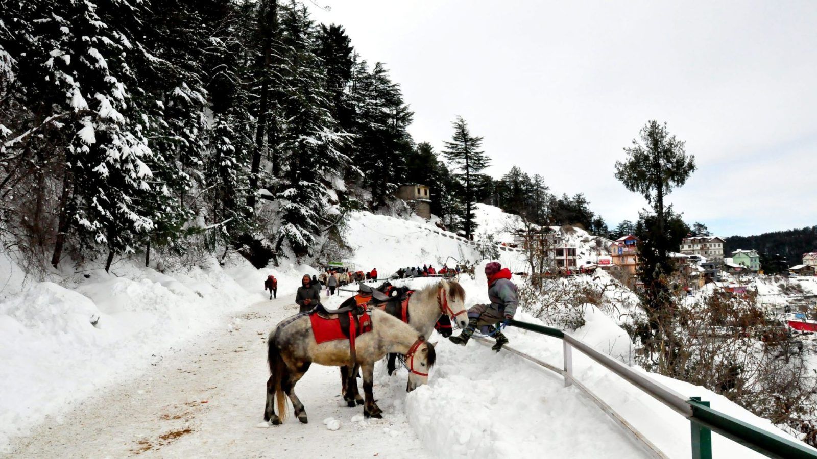 First Snowfall In Uttarakhand And Himachal: A Holiday Magnet For Tourists