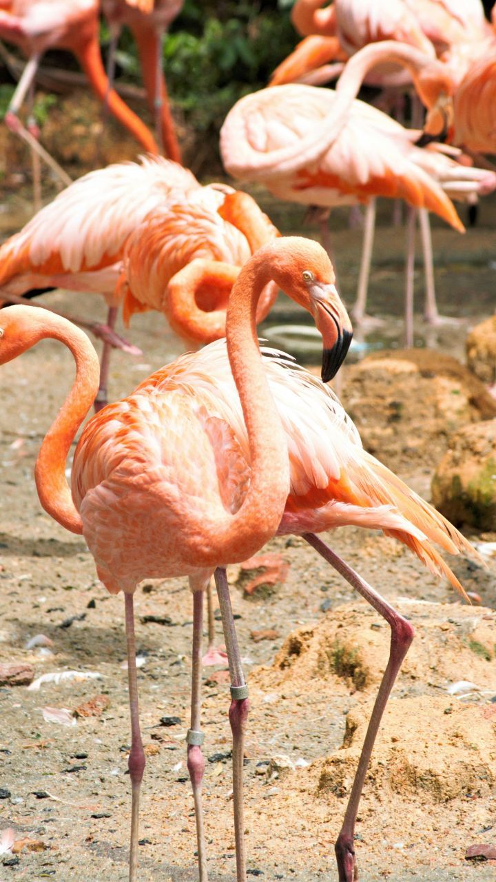 Nahur Will Soon Be Home To Mumbai’s Debut Bird Park