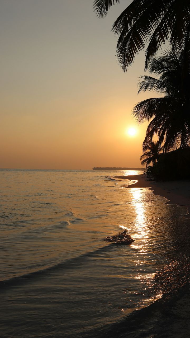 Beaches With Blue Flag Certification In India