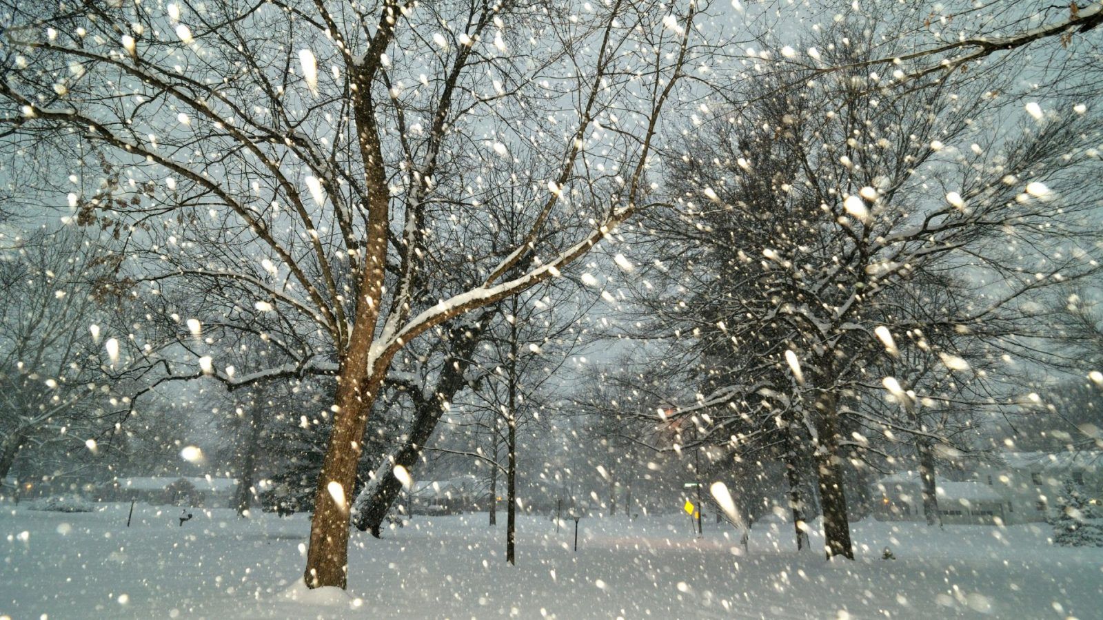 Snowfall In Odisha: State Reels Under Rare Cold Spell