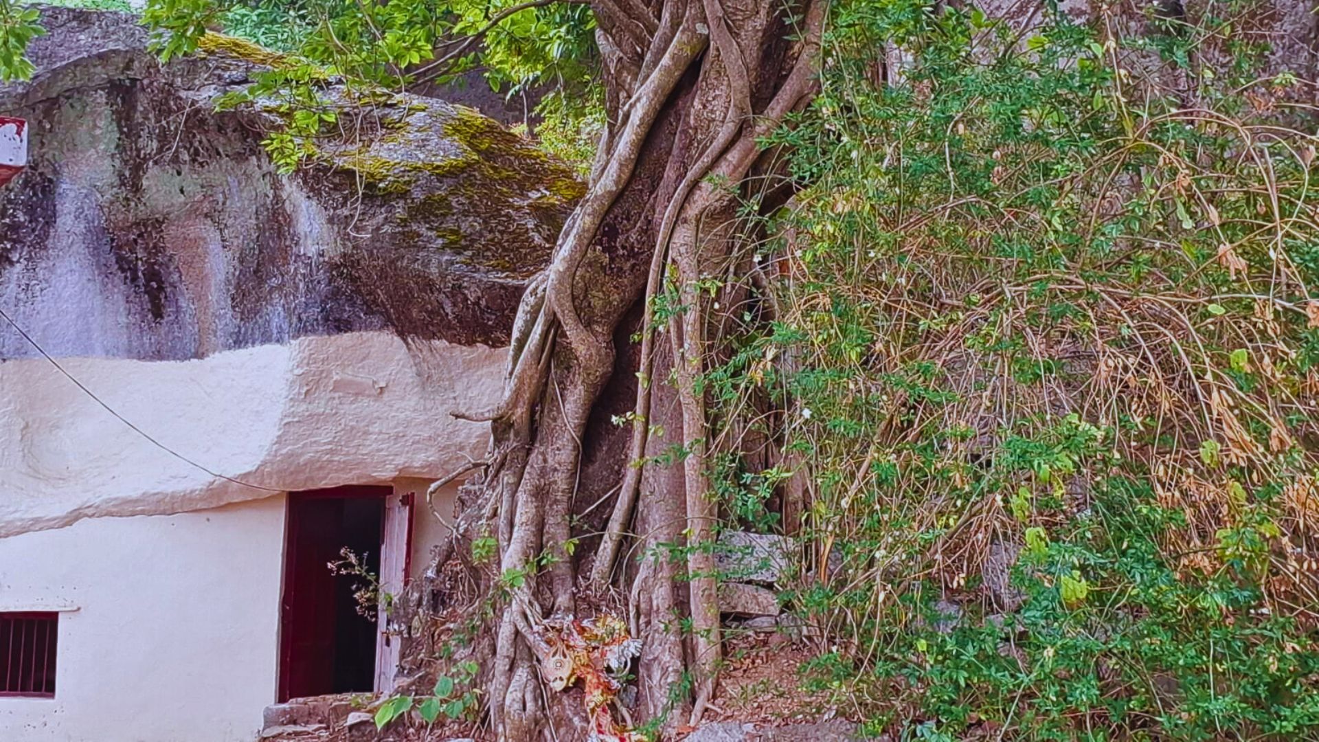 Best Places To Visit And Things To Do In Rajasthan's Mount Abu