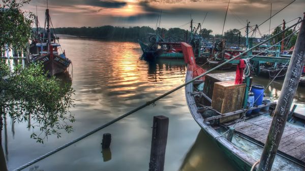 Things To Do In Selangor: Trekking, Rafting, And More Adventures Await!